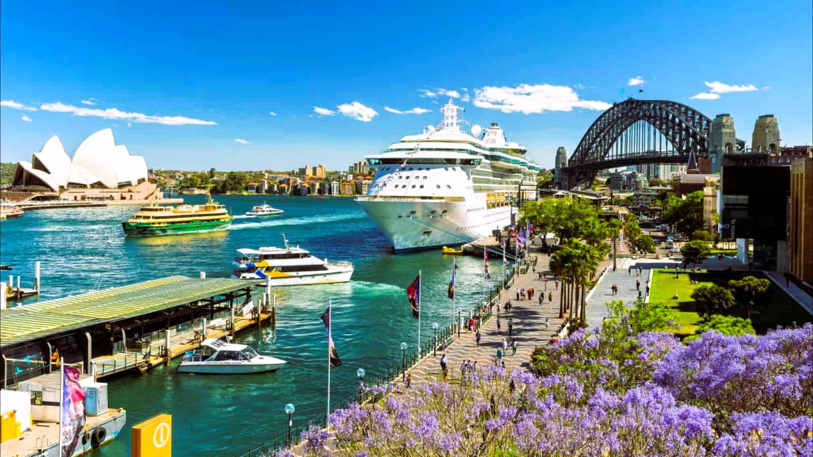 Bus Sightseeing Tours in Sydney: Uncover the City's Wonders with 5 ...
